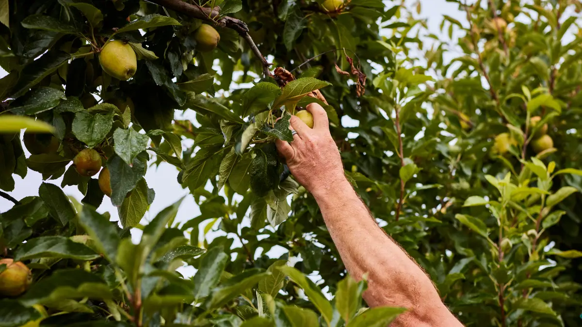 Parkhurst Brings Local Goodness to Every Plate with Our FarmSource ...